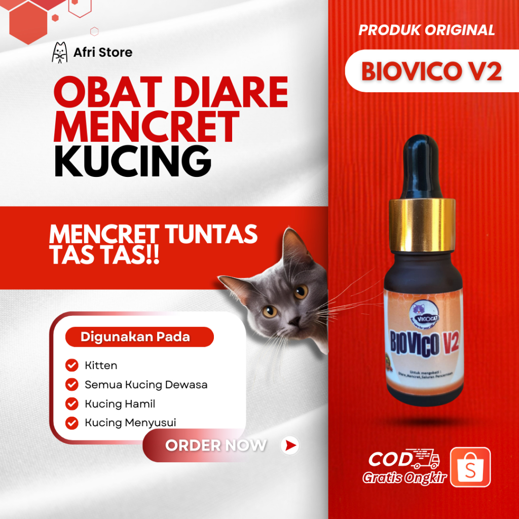 Jual BIOVICO V2 Obat Kucing Sakit Perut Diare - Antibiotik Saluran ...
