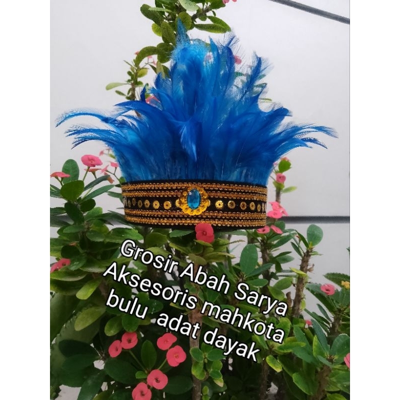 Jual mahkota bulu warna biasa untuk acara karnaval dan kartinian tarian ...