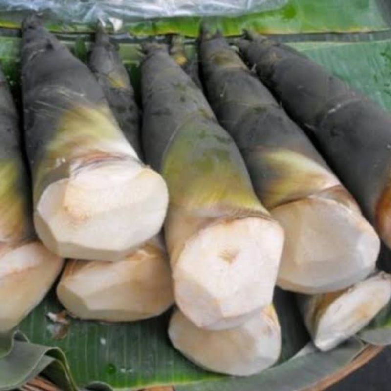 Jual Rebung muda fresh 1kg | Shopee Indonesia