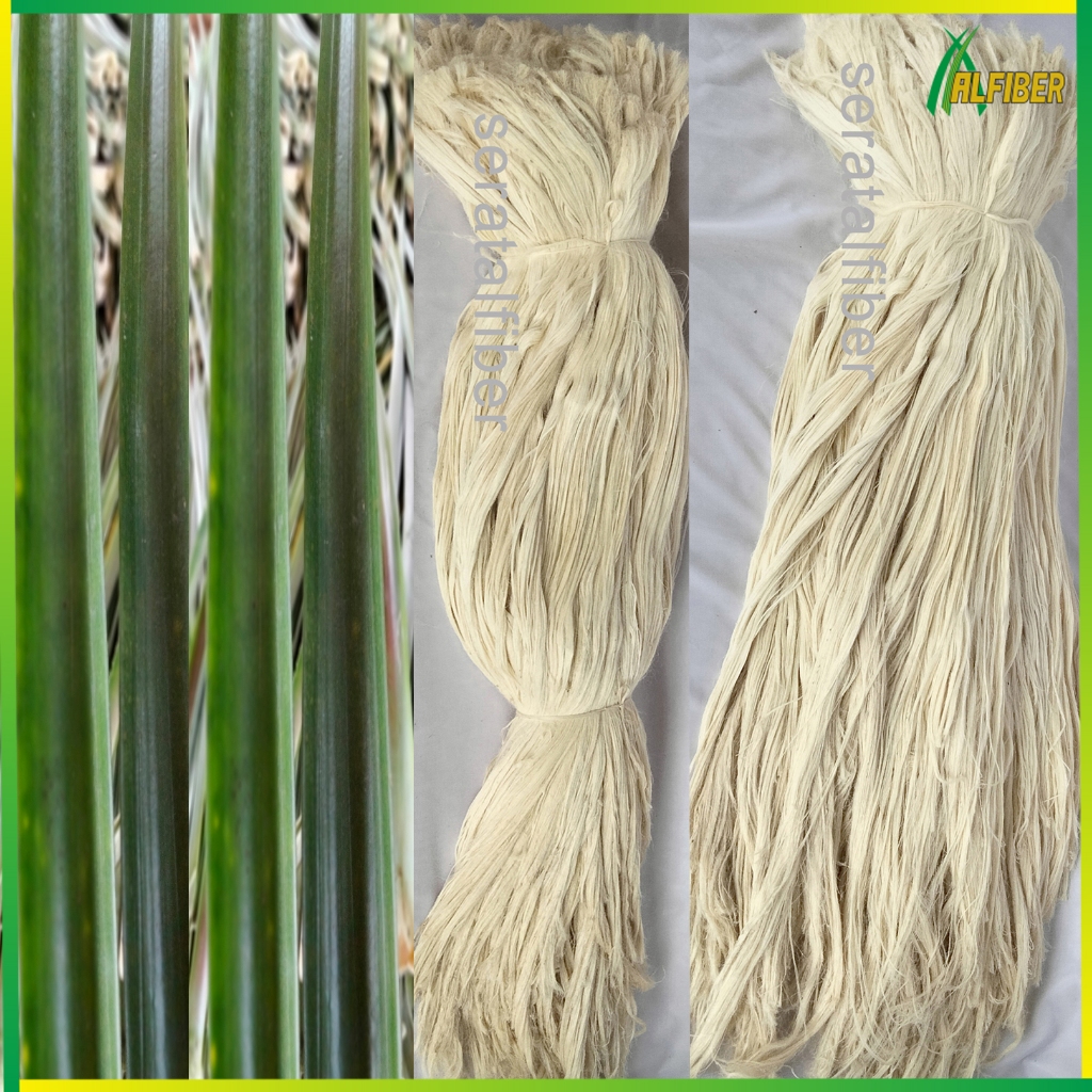 Jual ALFIBER Serat Daun Nanas Alami Tanpa Bahan Kimia Bahan Baku ...