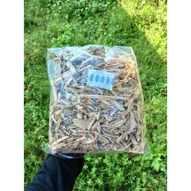 Jual Pulasari / Pulosari / Pulasari 1 kg / Pulasari 500gr / Pullasari ...