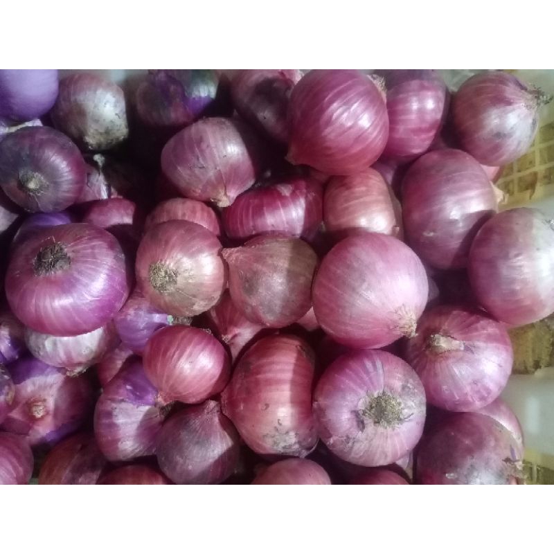 Jual Bawang Merah Peking Segar Fresh 500gr / Bawang India | Shopee ...