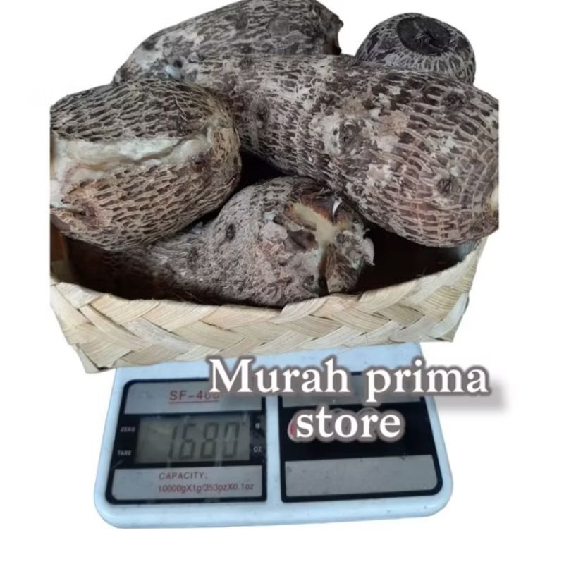 Jual Talas Rebus Mateng Talas Muria Pulen 1 Kg | Shopee Indonesia