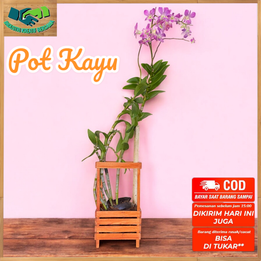Jual RAK POT BUNGA ANGGREK DARI KAYU FINISHING CAT PLITUR | Shopee ...