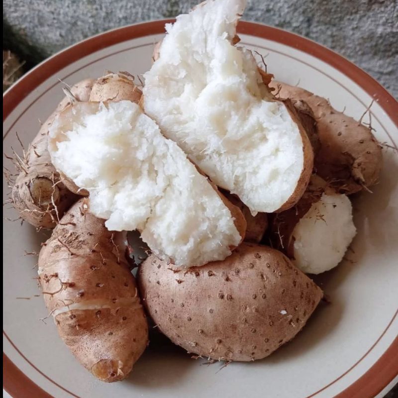 Jual (1 Kg) Ubi gembili / umbi kembili enak meduk kaya manfaat | Shopee ...