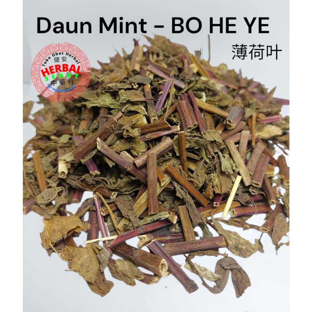 Jual Bo He Ye / Daun Mint Kering - Menthol Herba Menthae 250-500-600g ...