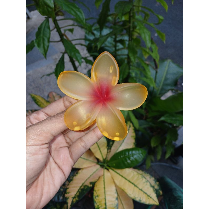 Jual (Limited Edition)Jepitan Bunga Kamboja Jelly 8CM/Frangipani Hair ...