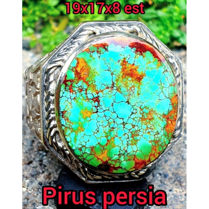 Jual Natural Pirus Persia multi colour | Shopee Indonesia