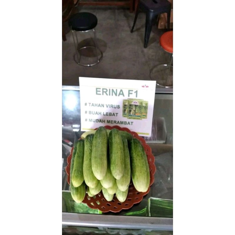 Jual Benih Timun Erina F1 Tahan Virus Lalap Kecil (800 Butir) - Cap ...