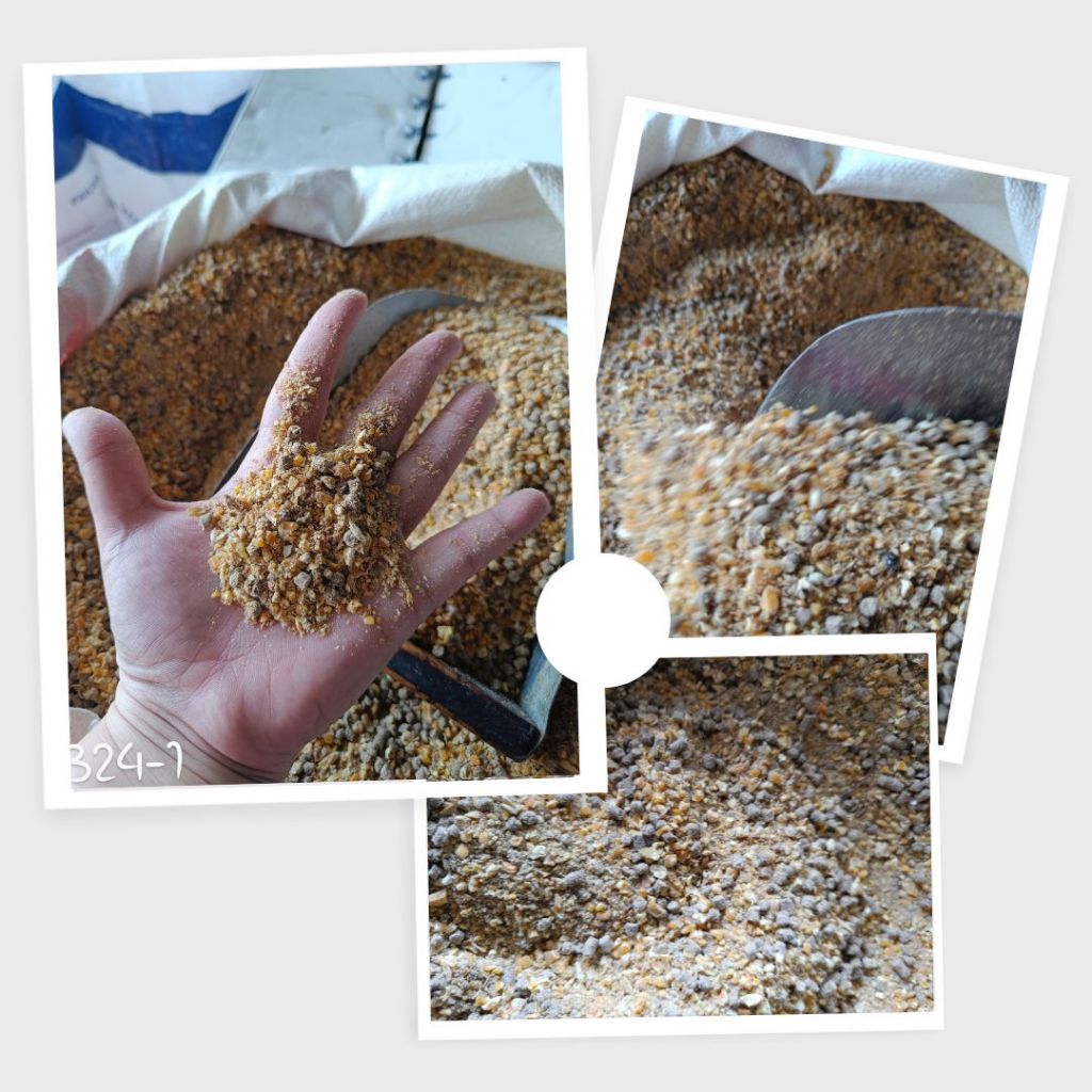 Jual PAKAN KOMPLIT AYAM PETELUR 324-1 PER 1 KG | Shopee Indonesia