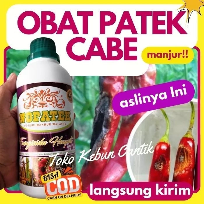 Jual Nopatek 500ml Obat Patek Cabe Paling Ampuh, Fungisida Hayati ...