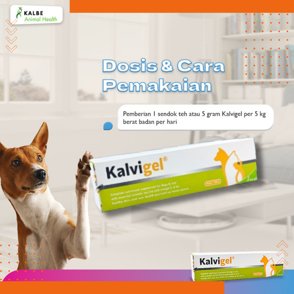 Jual Kalvigel vitamin kucing | vitamin kucing imunitas tubuh | vitamin ...