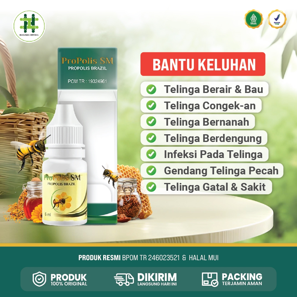 Jual Obat Untuk Telinga Congek Bernanah Bau Busuk Berair Curek Telinga ...