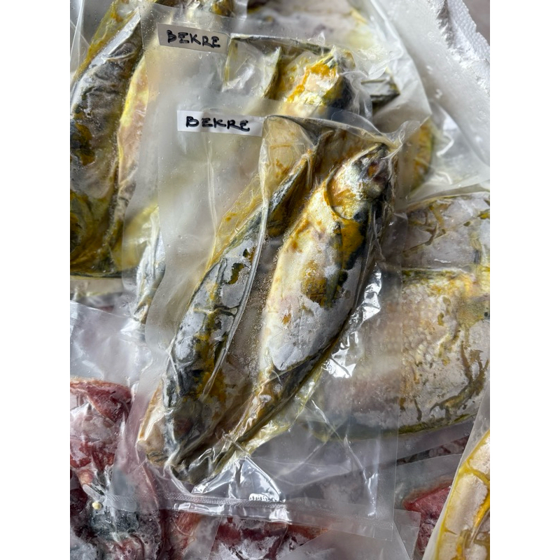 Jual IKAN BEKRE MARINASI ISI 2 PCS | Shopee Indonesia