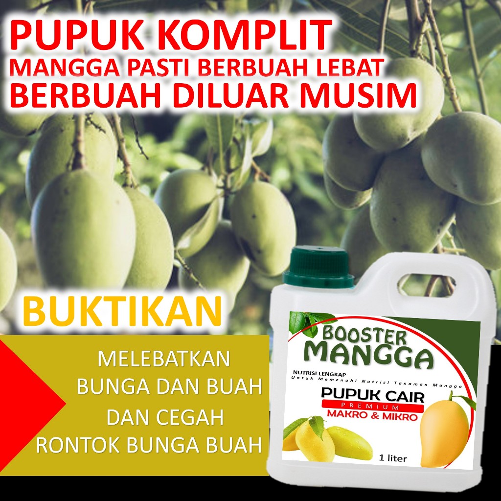 Jual Pupuk Cair Mangga 1 liter Booster Pelebat Agar Tanaman Mangga ...