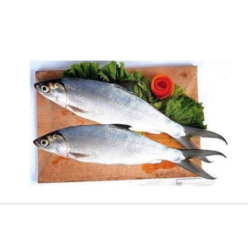 Jual Ikan Bandeng Frozen 1 kg | Shopee Indonesia