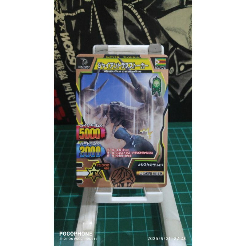 Jual kartu animal kaiser bronze friend giant death stalker japan | Shopee Indonesia