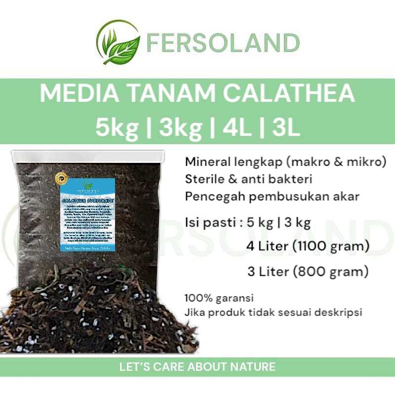 Jual Media tanam calathea premium 5kg 3kg 4L 3L | media tanam organik siap pakai | media tanam ...