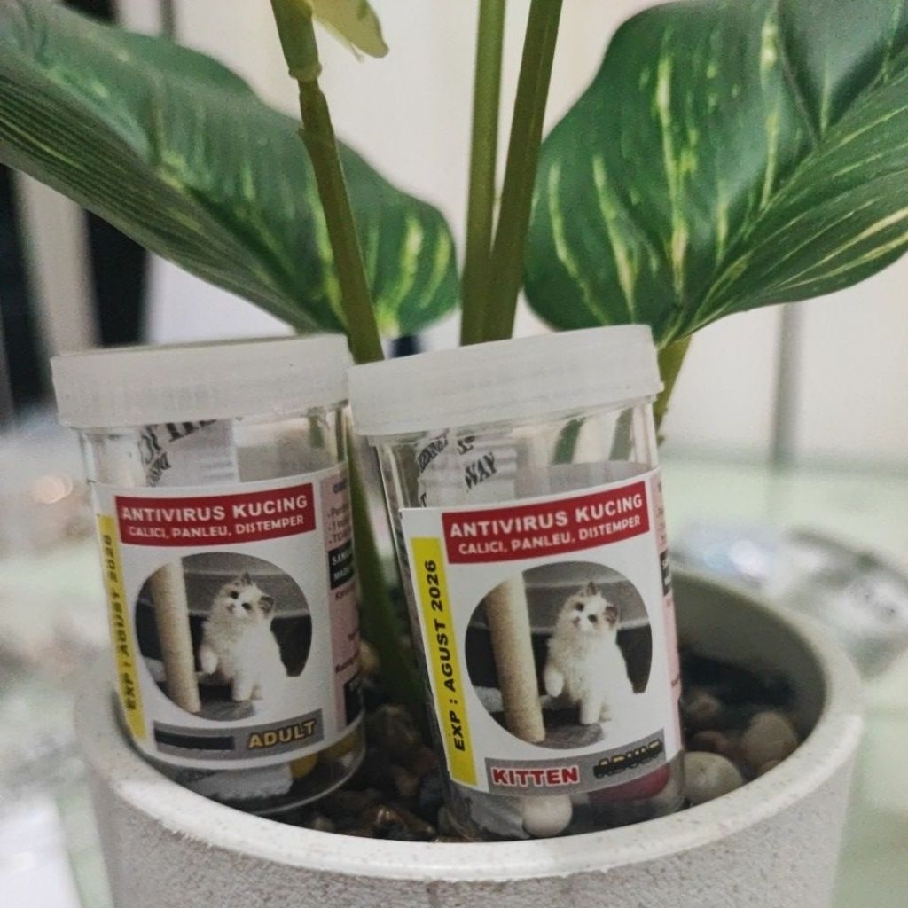 Jual Obat Virus Kucing Antivirus Calici / Panleukopenia / Distemper ...