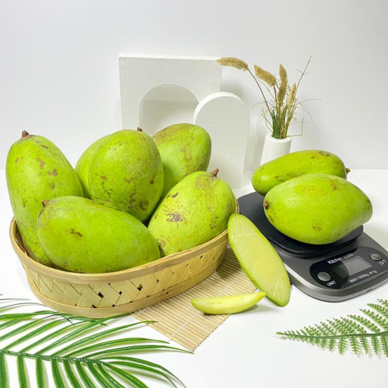 Jual MANGGA Muda Rujak Super 1 Kg | Buah Segar Fresh | Shopee Indonesia