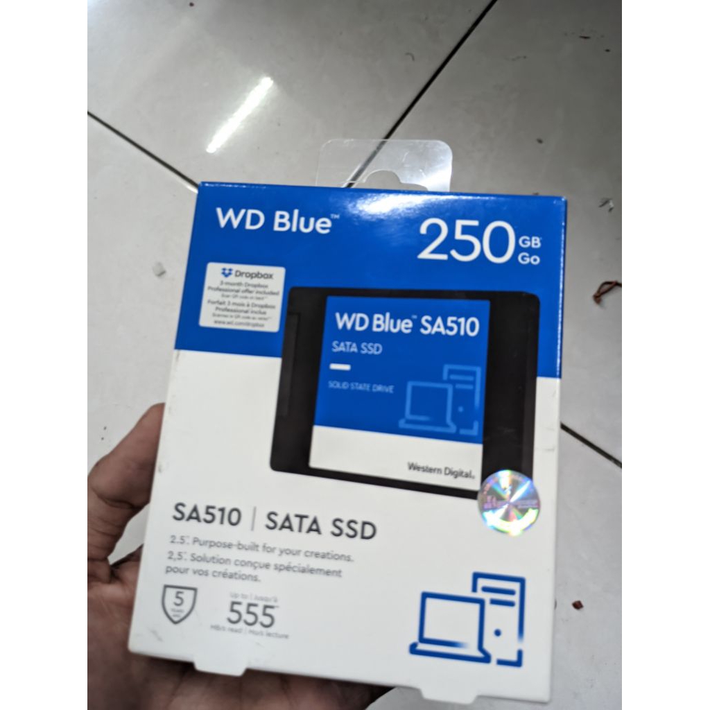 Jual SSD WD BLUE 250GB | Shopee Indonesia