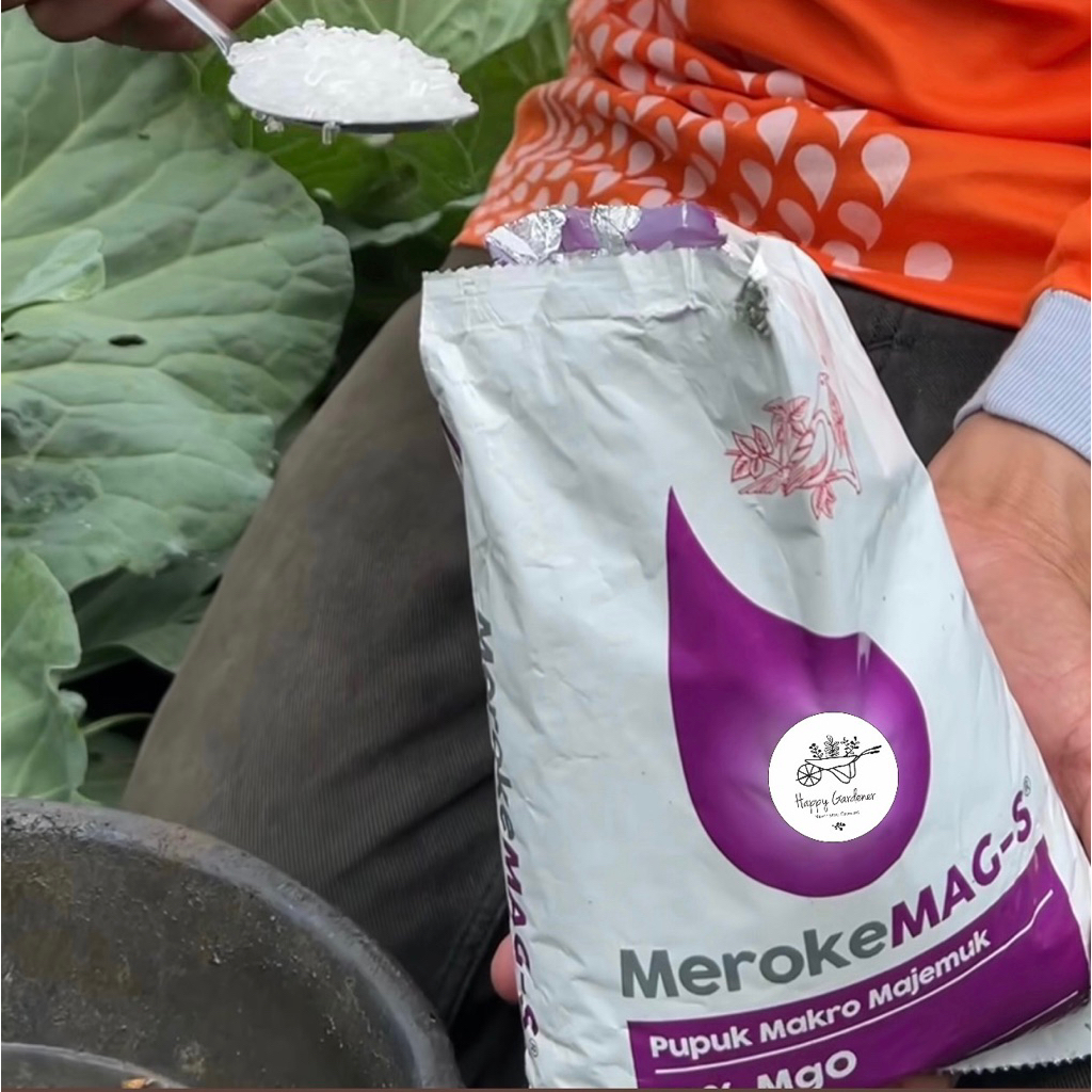 Jual pupuk meroke mag-s magnesium sulfat (kemasan pabrik 1kg) | Shopee ...