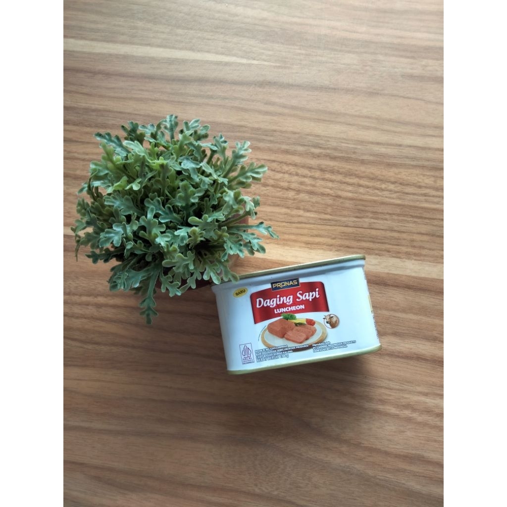 Jual pronas beef luncheon meat 198g | Shopee Indonesia