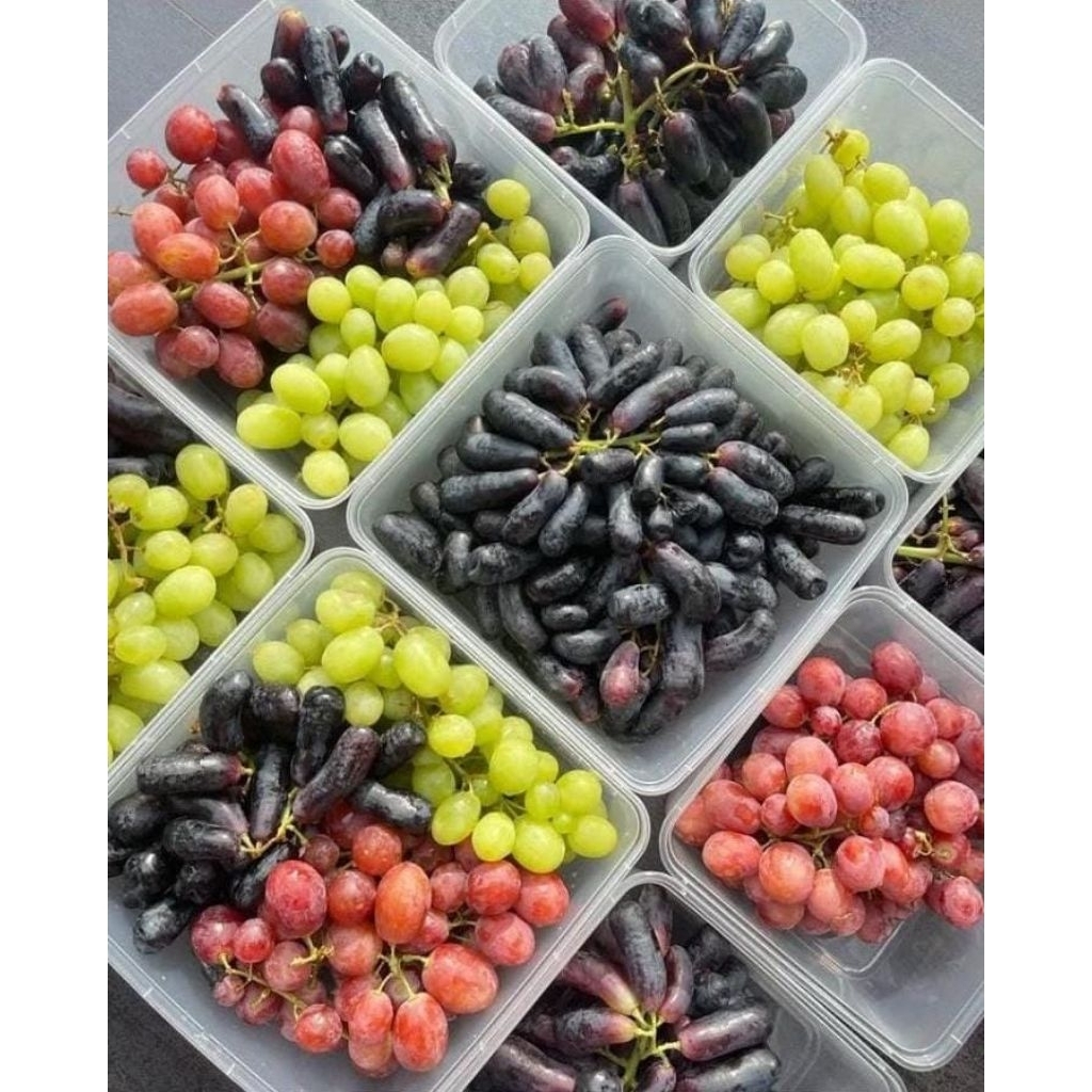 Jual ANGGUR BLACK ADORA / SWEET SAPPHIRE / RED CRIMSON / AUTUMN CRISPY ...