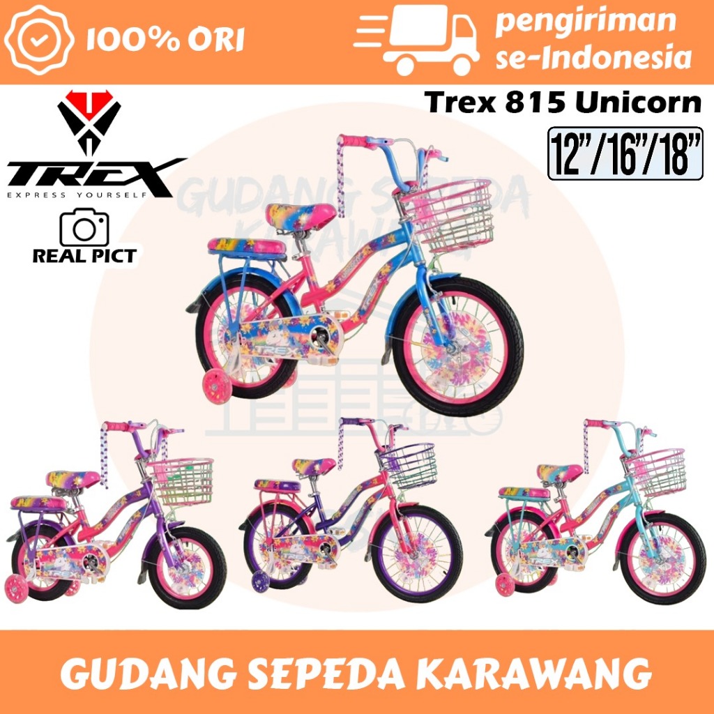 Jual Sepeda Anak Perempuan Mini Trex Unicorn Bahan Steel | Shopee Indonesia