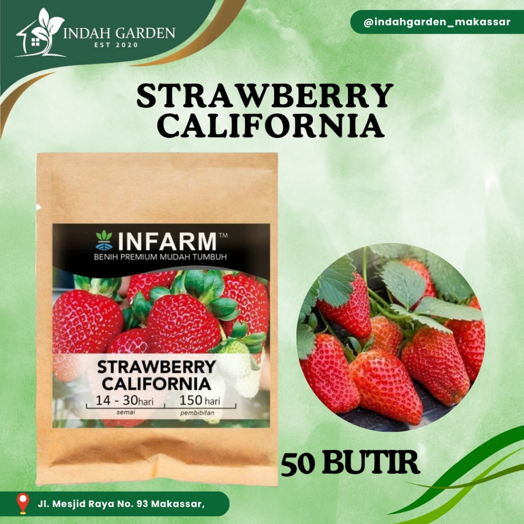 Jual INFARM - Benih Bibit Biji Super Buah Strawberry California Besar Manis Berwarna Merah ...