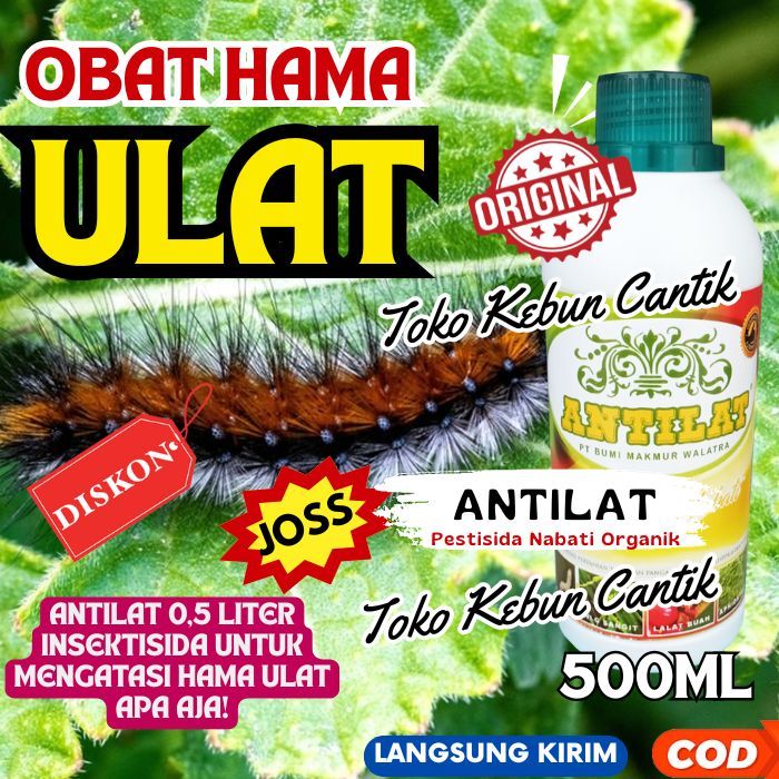 Jual Antilat 500ml ZPT Pengusir Hama ULAT serangga kutu daun aphid thrips belalang tikus kepik ...