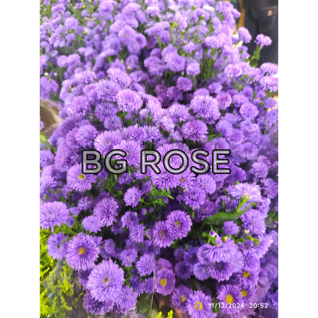 Jual Bunga Pikok Isi 10 Tangkai Bercabang - By BGrose | Shopee Indonesia