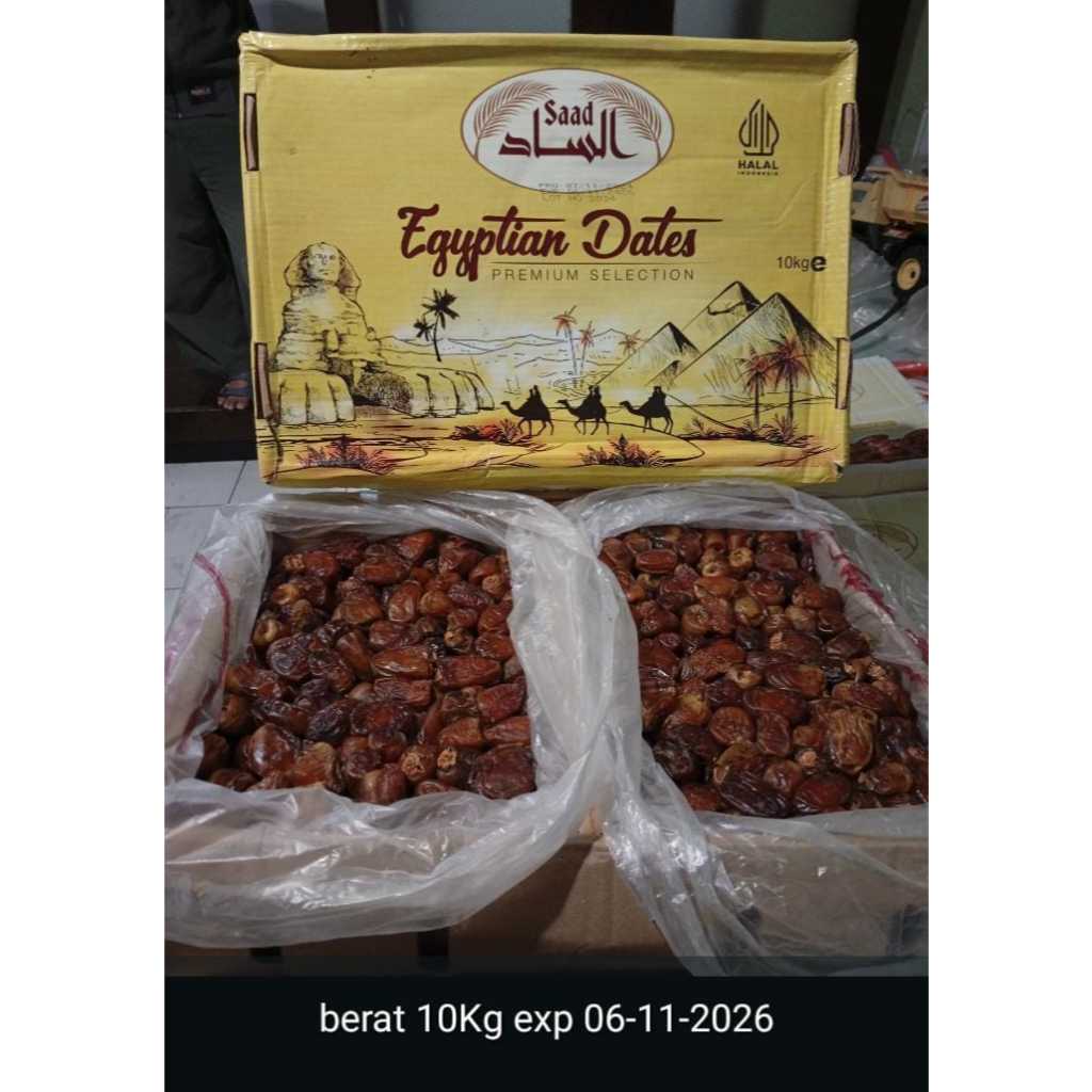 Jual Kurma Mesir Al Saad Egyptian Dates - 10 Kg | Shopee Indonesia