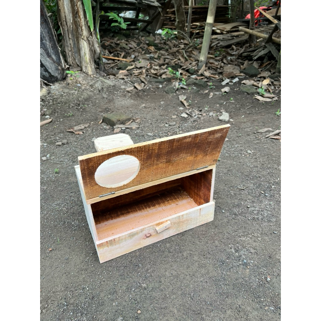 Jual glodok burung sunconure jalak nuri falk model kekinian ( pintu ...