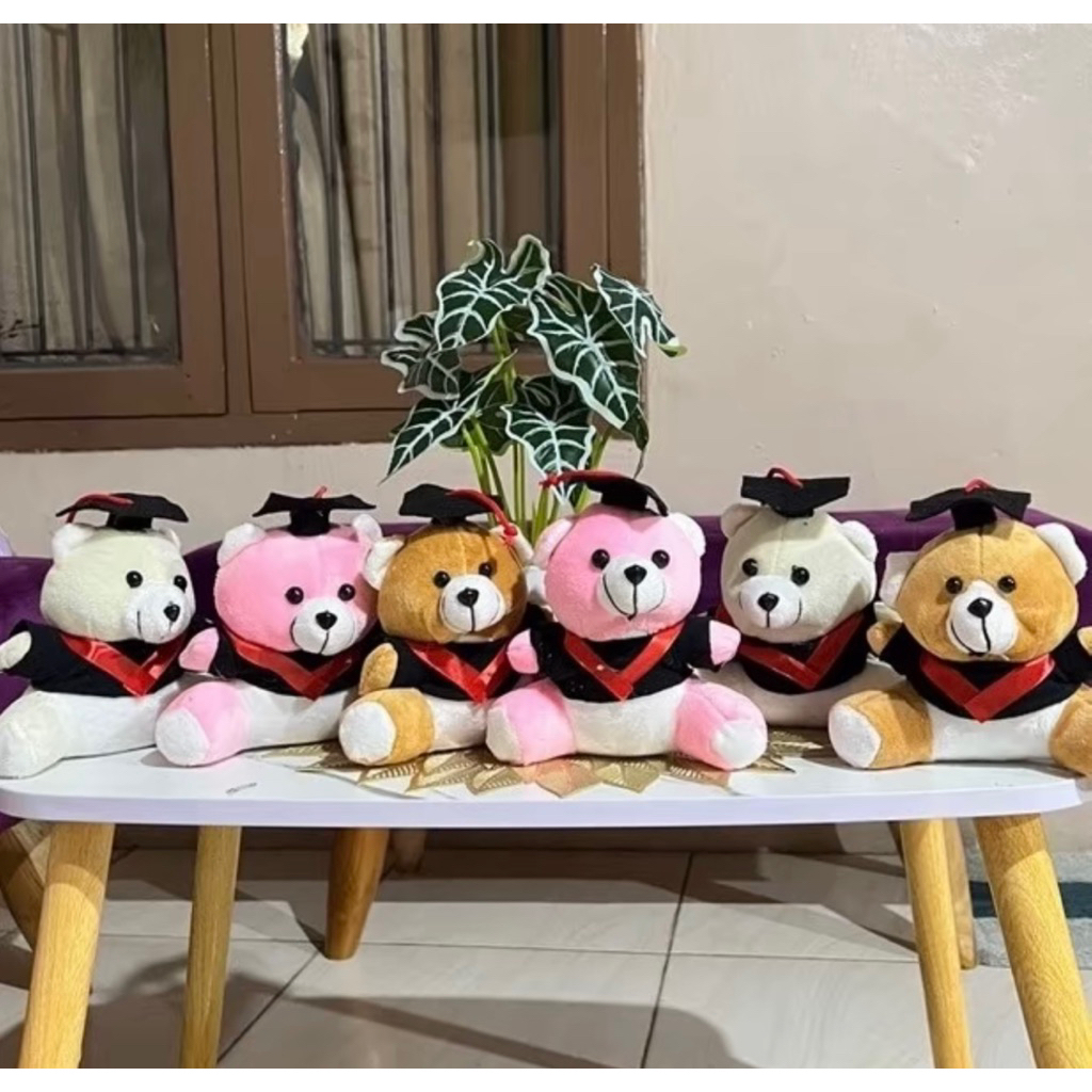 Jual BONEKA TOGA 115RB DAPAT 10PCS (cocok untuk bucket) | Shopee Indonesia