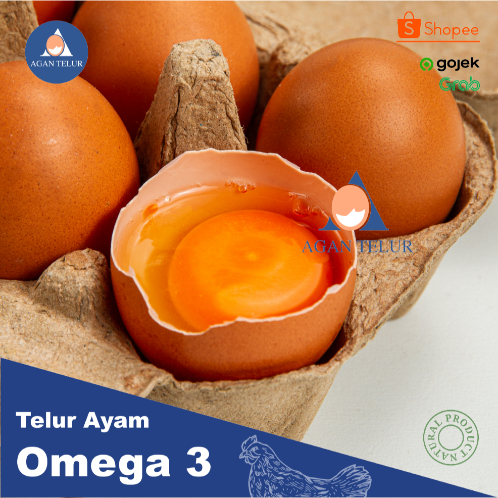 Jual Telur Ayam Negeri Omega Super per 10 Butir/ box | Shopee Indonesia