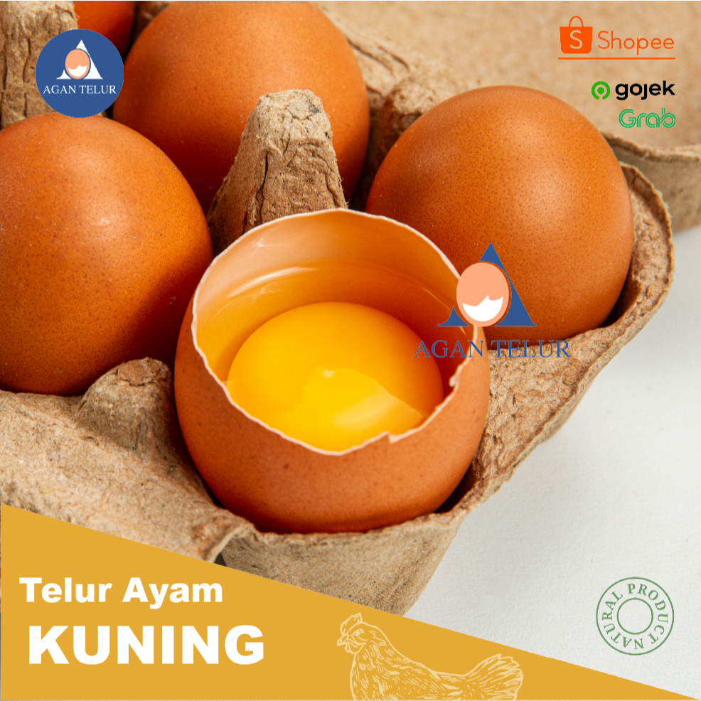 Jual Telur Ayam Negeri Fresh Premium per 6 Butir | Shopee Indonesia