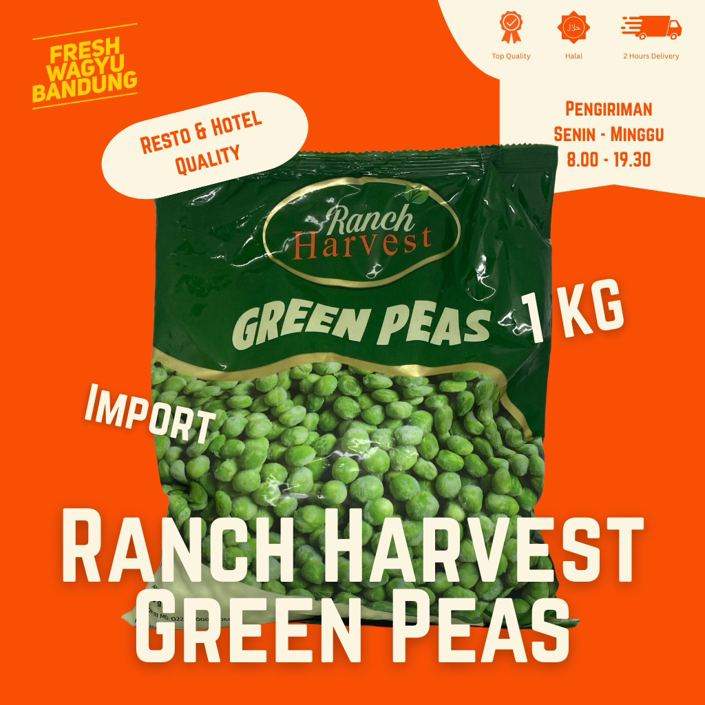 Jual GREEN PEAS CURAH KACANG POLONG HIJAU Pea Import Impor Premium ...
