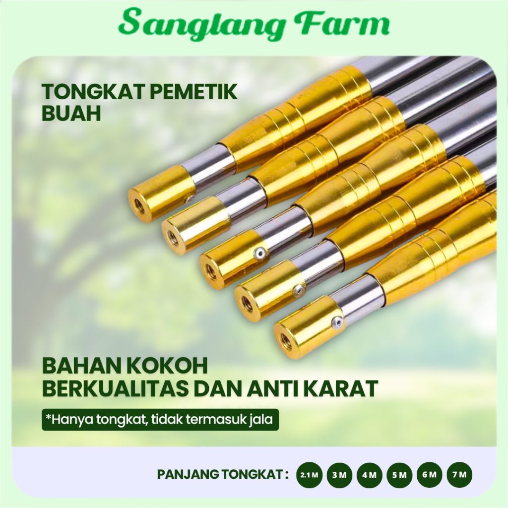 Jual Galah Tongkat Pemetik Pengambil Buah dari Pohon Panjang 2.1M / 3M ...