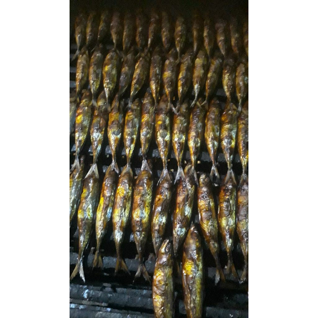 Jual ikan salem asap isi 10 ekor (per bungkus) | Shopee Indonesia