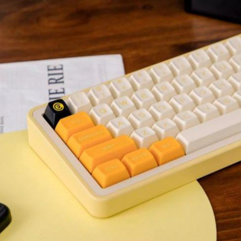 Jual Keycaps QXA Profile Double Shot Honey Bee (Yellow White) Colorways ...