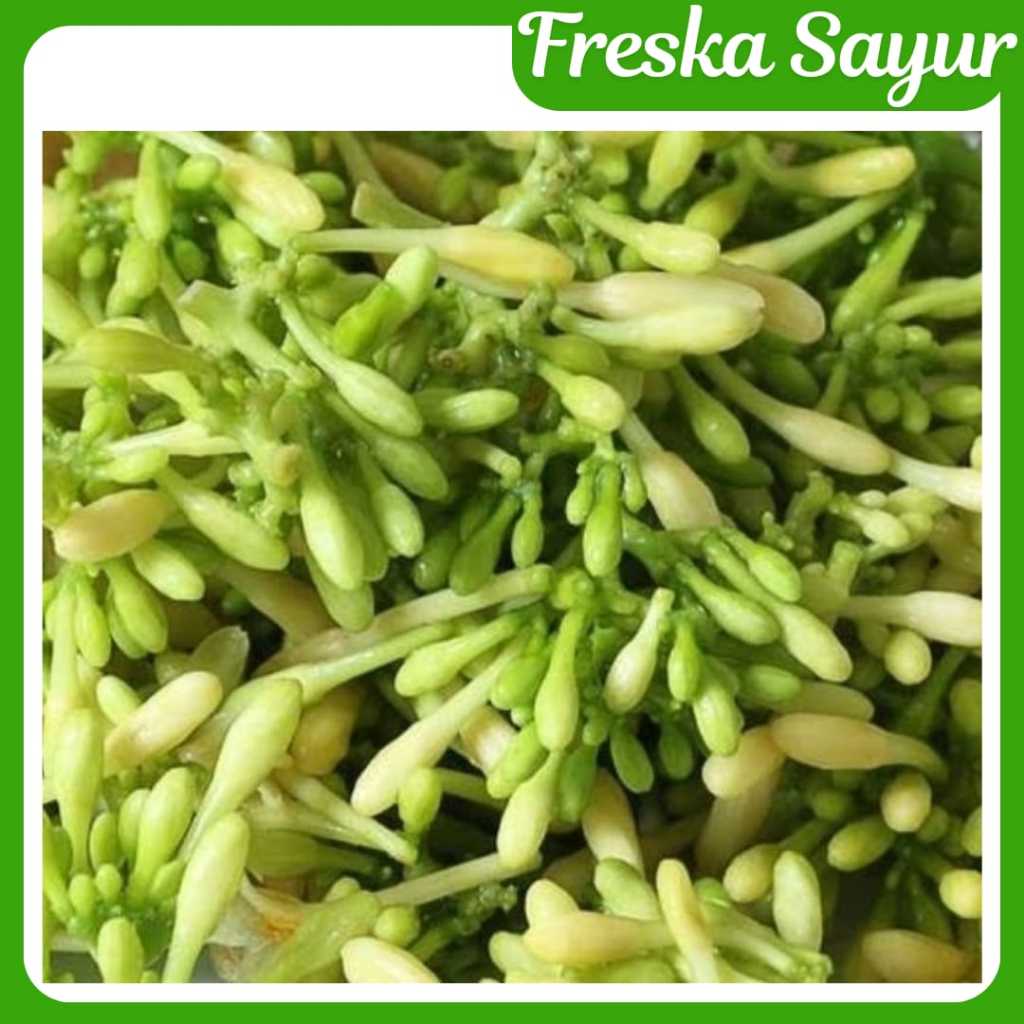 Jual Bunga Pepaya I Kembang Pepaya 1 Pack [HANYA TERSEDIA JIKA ORDER ...