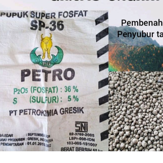 Jual PUPUK SP-36 REPACK 500 GRAM PEMBENAH TANAH PENYUBUR TANAMAN ...