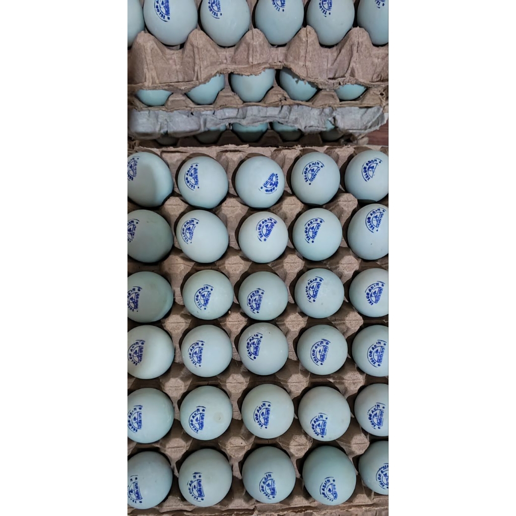 Jual Telur asin 1 pack isi 10 ukuran sedang cenderung kecil | Shopee ...