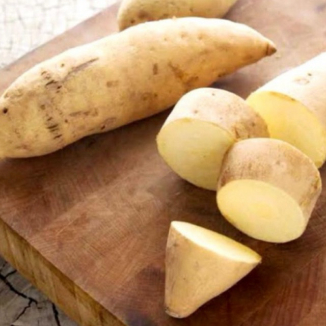 Jual UBI PUTIH 1KG/UBI JALAR PUTIH/UBI PUTIH FRESH/TELO PUTIH/WHITE ...