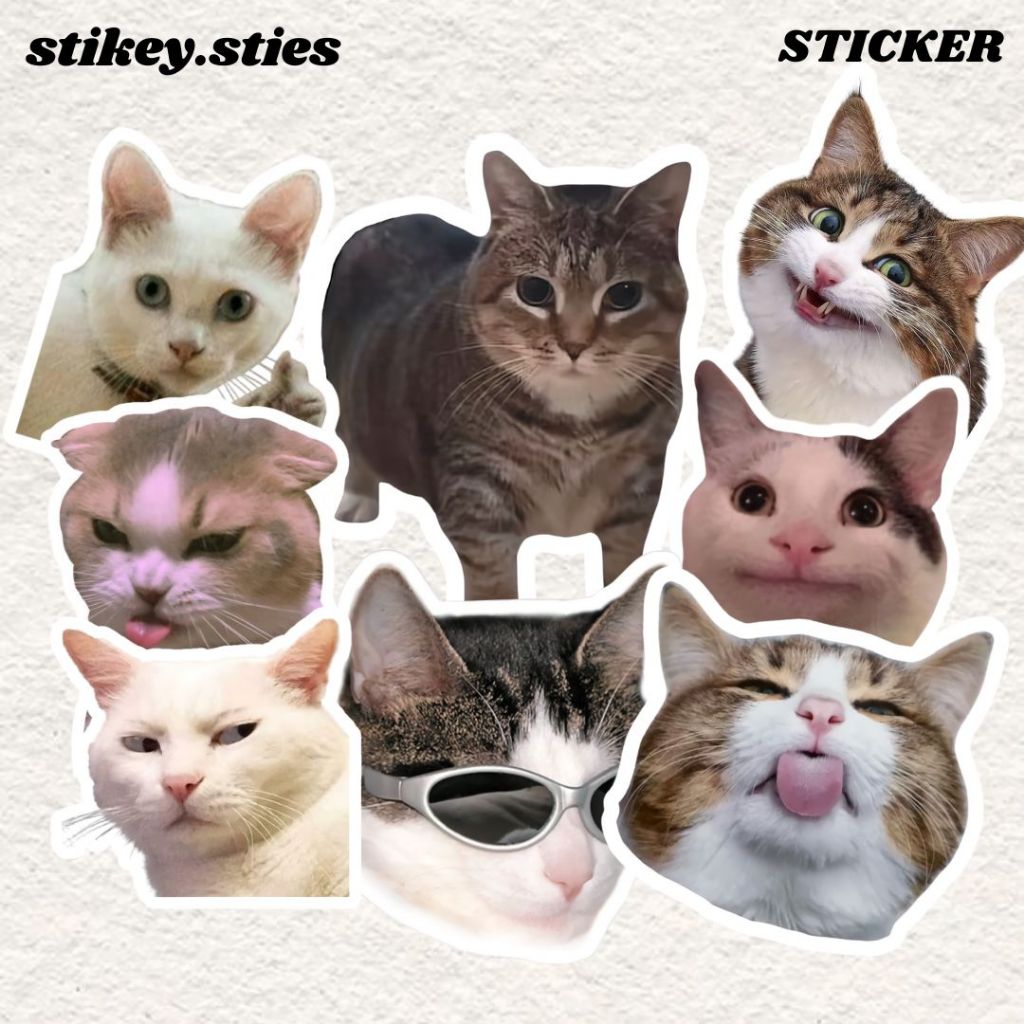 Jual STICKER KUCING MEME LUCU AESTHETIC BRAND ANTI AIR VINYL / STIKER ...