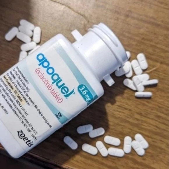 Jual Apoquel Obat Anti Gatal Dermatitis Hewan Anjing Zoetis Tablet 3 ...