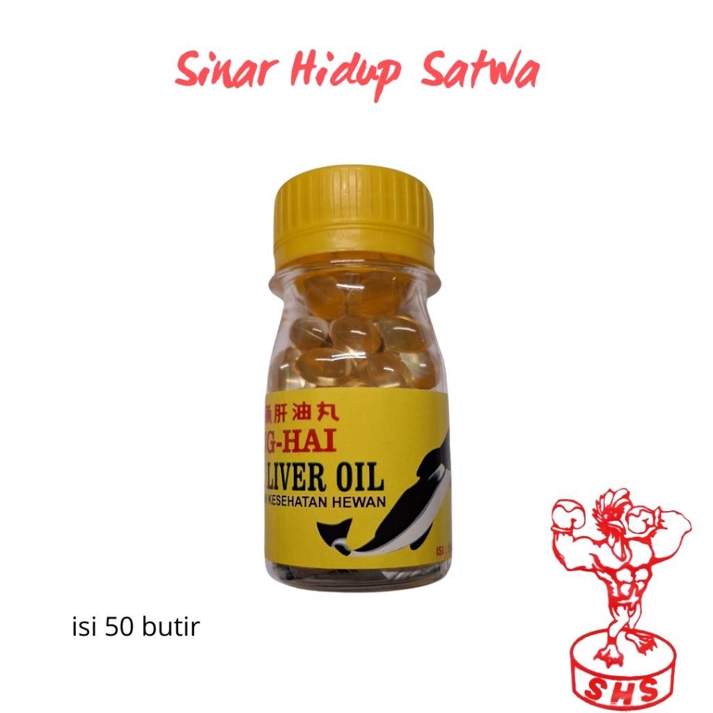 Jual Minyak Ikan Tung Hai Botolan isi 50 butir | Shopee Indonesia