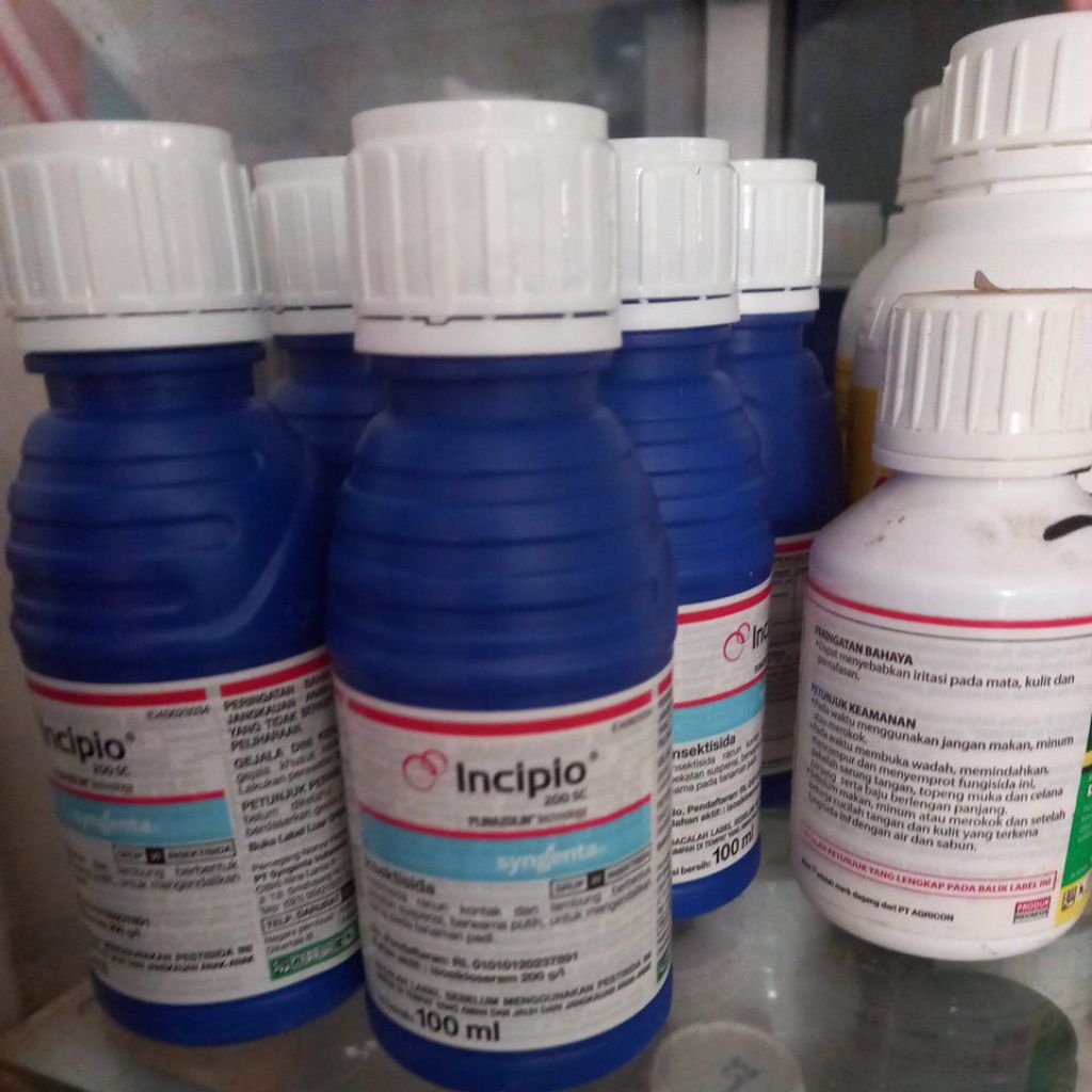 Jual Insektisida Incipio 100 ml | Shopee Indonesia