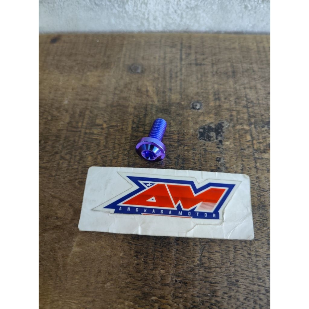 Jual baut titanium m8 panjang 2cm titanium bolt grade 5 | Shopee Indonesia